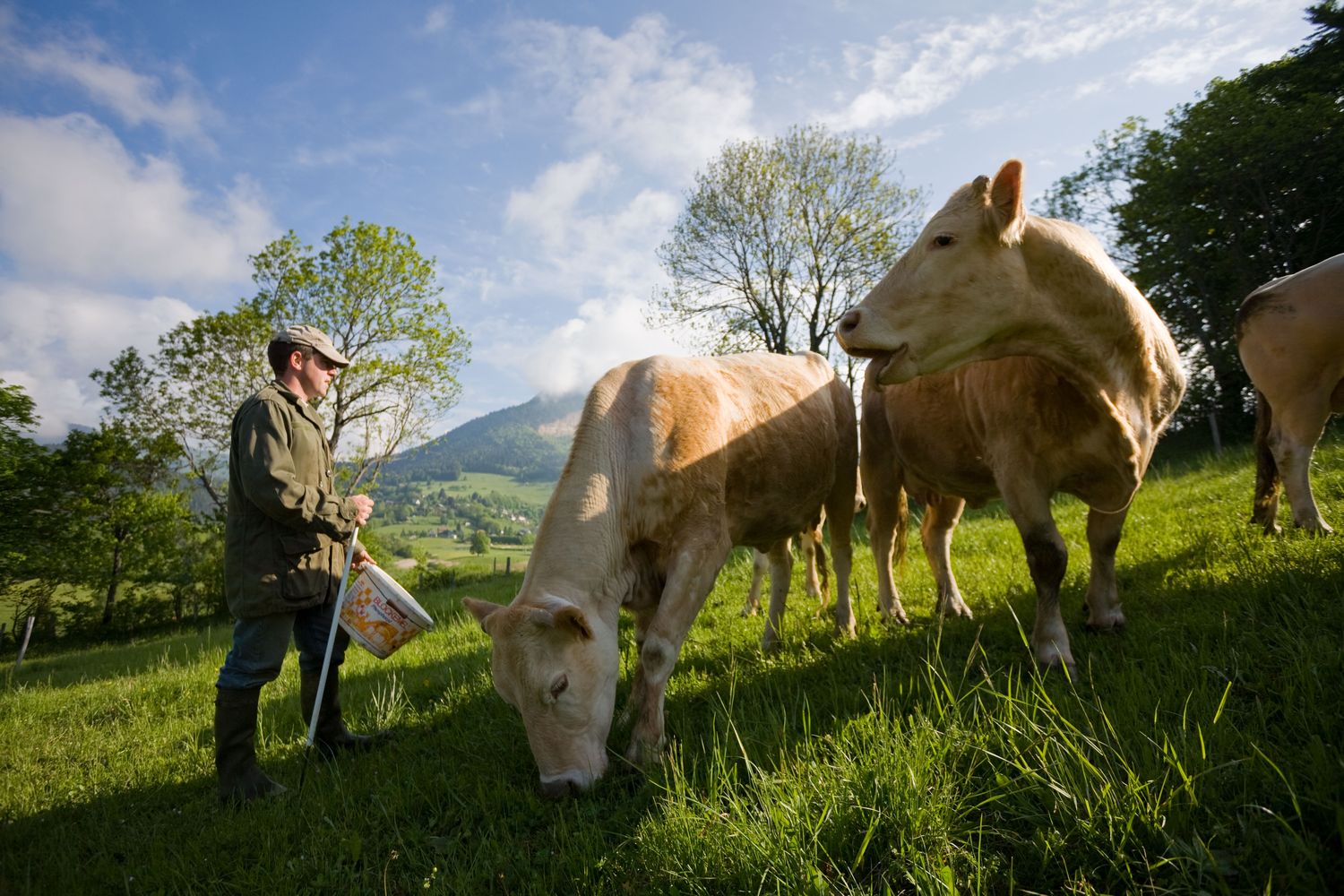 Viande - PNR Chartreuse