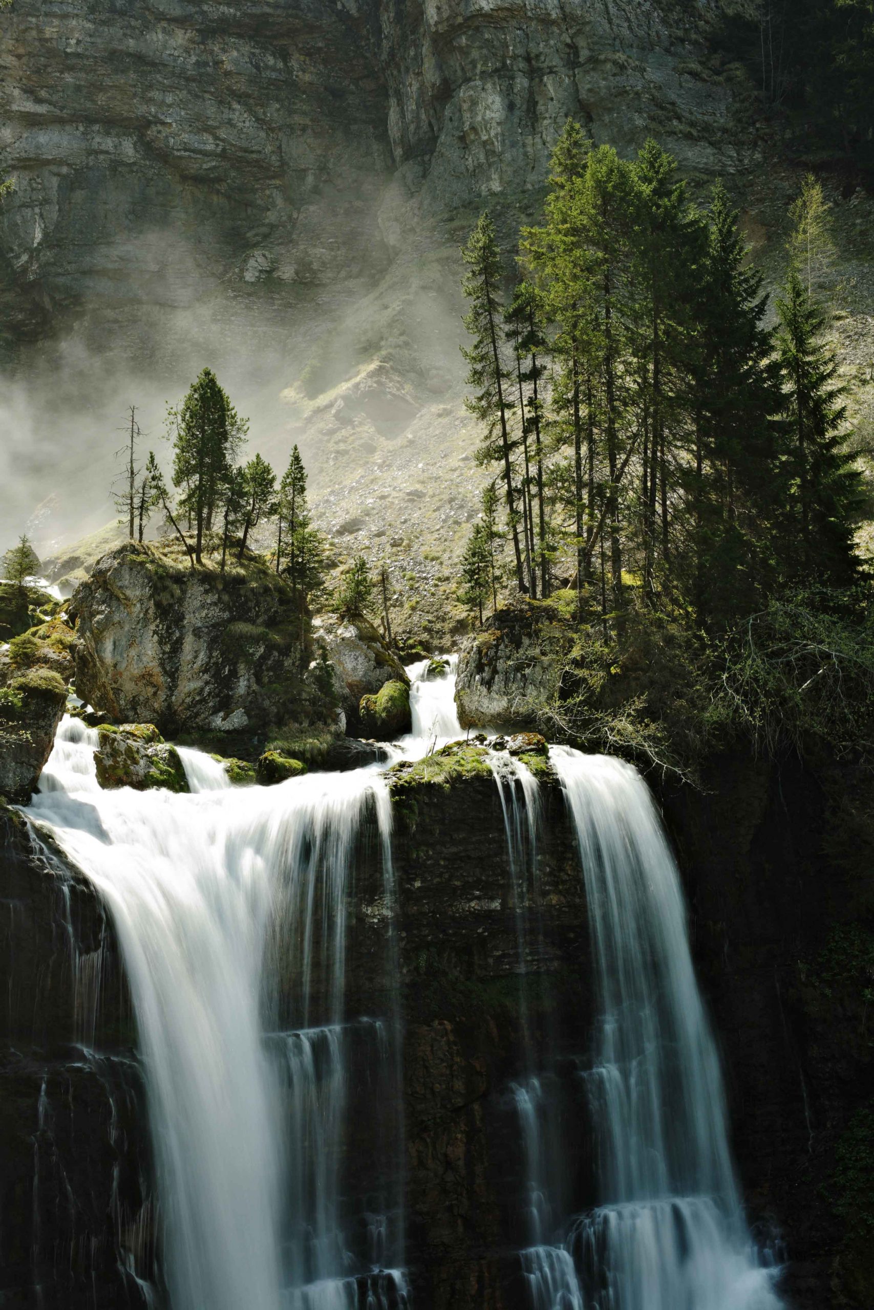 Une forêt remarquable - PNR Chartreuse