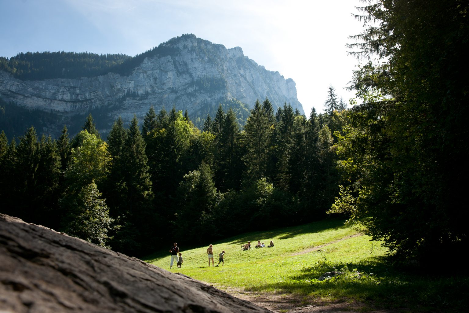 Une forêt remarquable - PNR Chartreuse