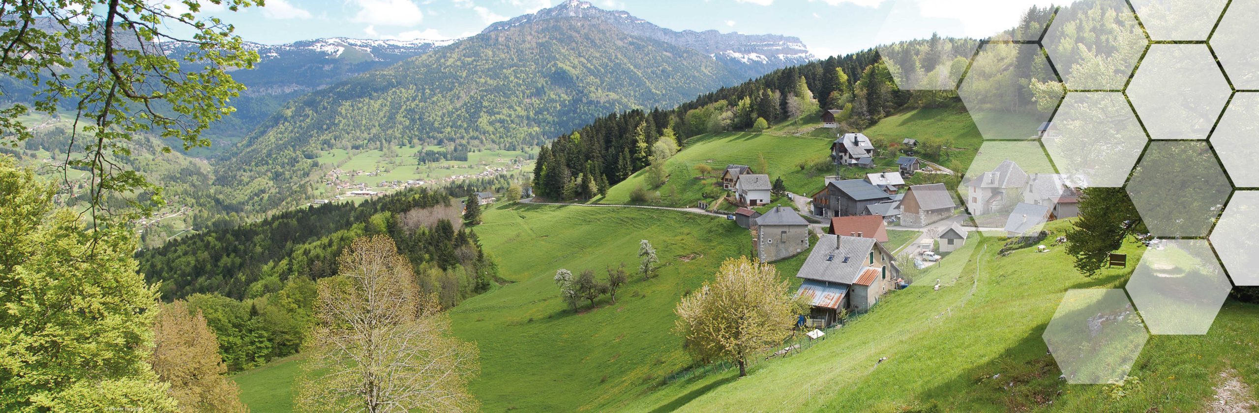 Plan de paysage - PNR Chartreuse